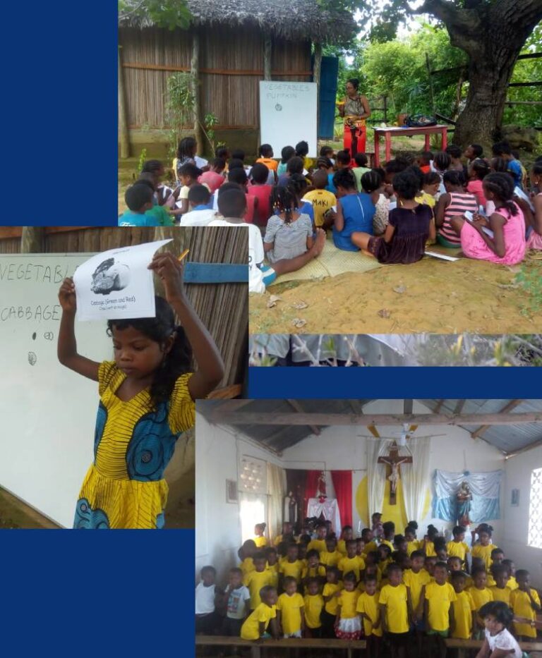 Special Projects - Wings of Change